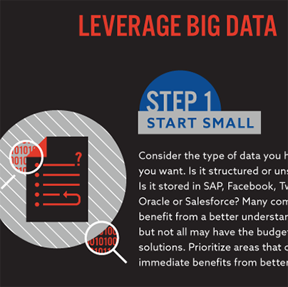 4 Steps to Leverage Big Data 200px2 - Pinnacle
