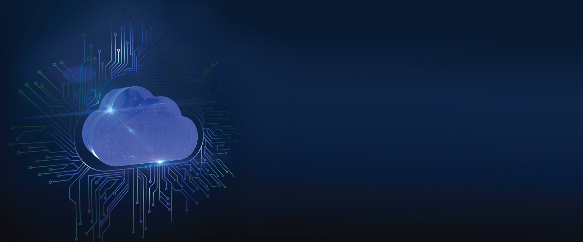 PowerCloud and BRaaS | Pinnacle Business Systems